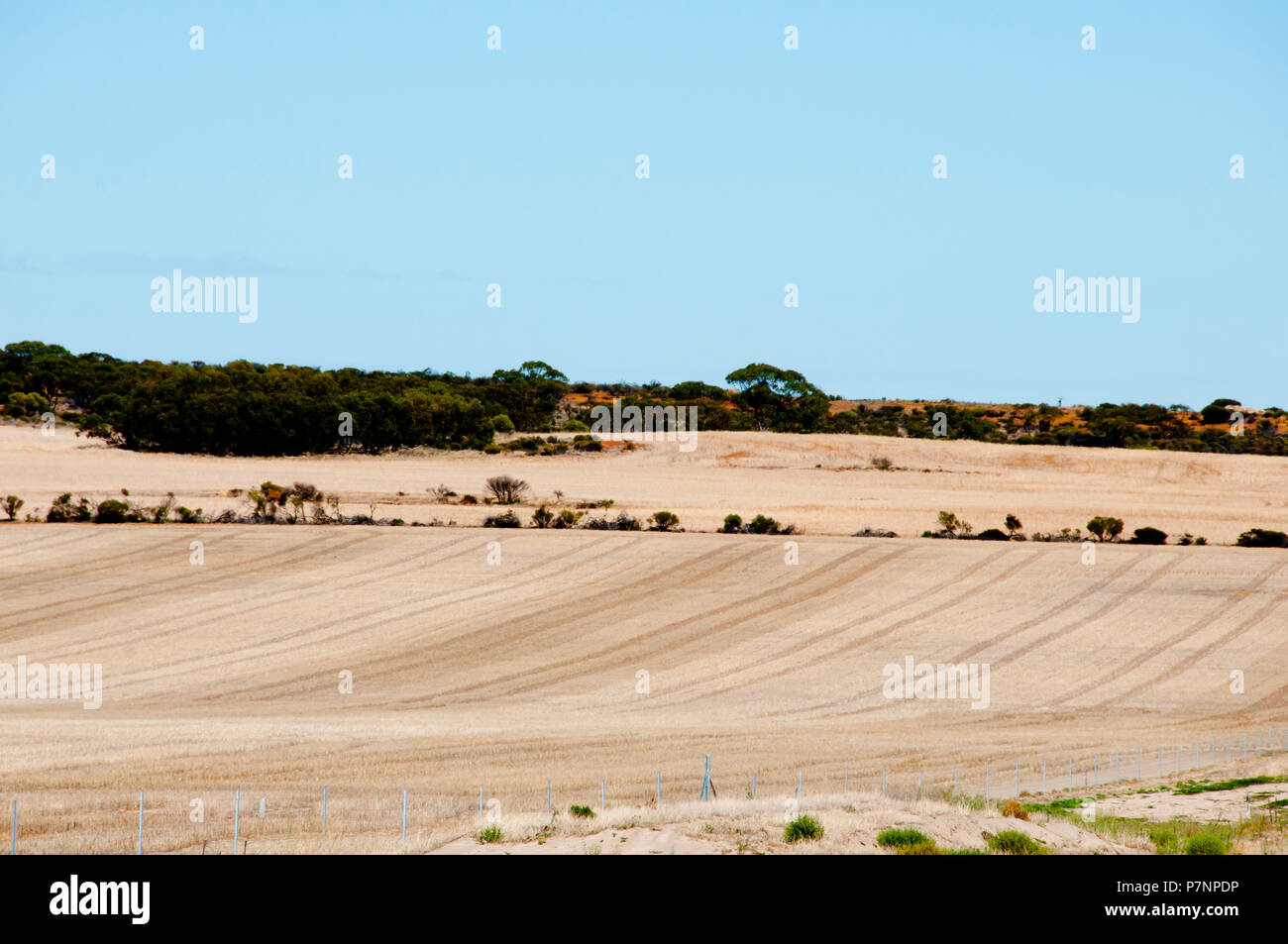 Australian wheat harvest hi-res stock photography and images - Alamy