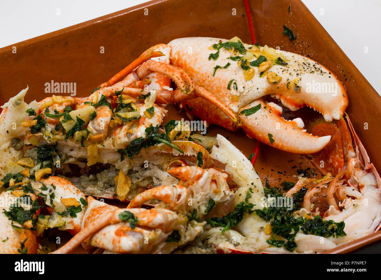 A boiled, cooked lobster, Homarus gammarus, from the English Channel ...