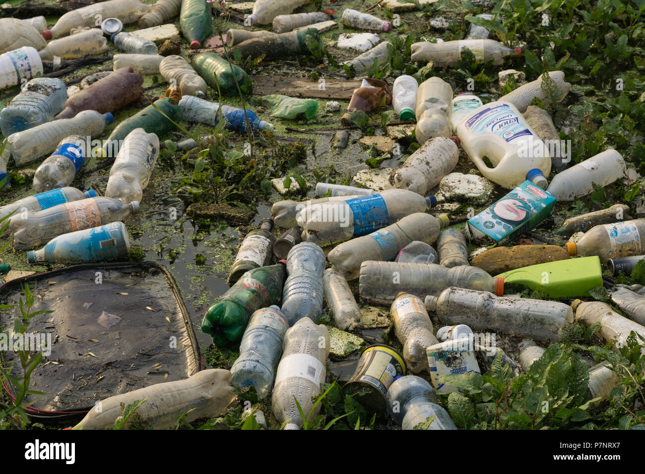 Plastic waste pollution hi-res stock photography and images - Alamy