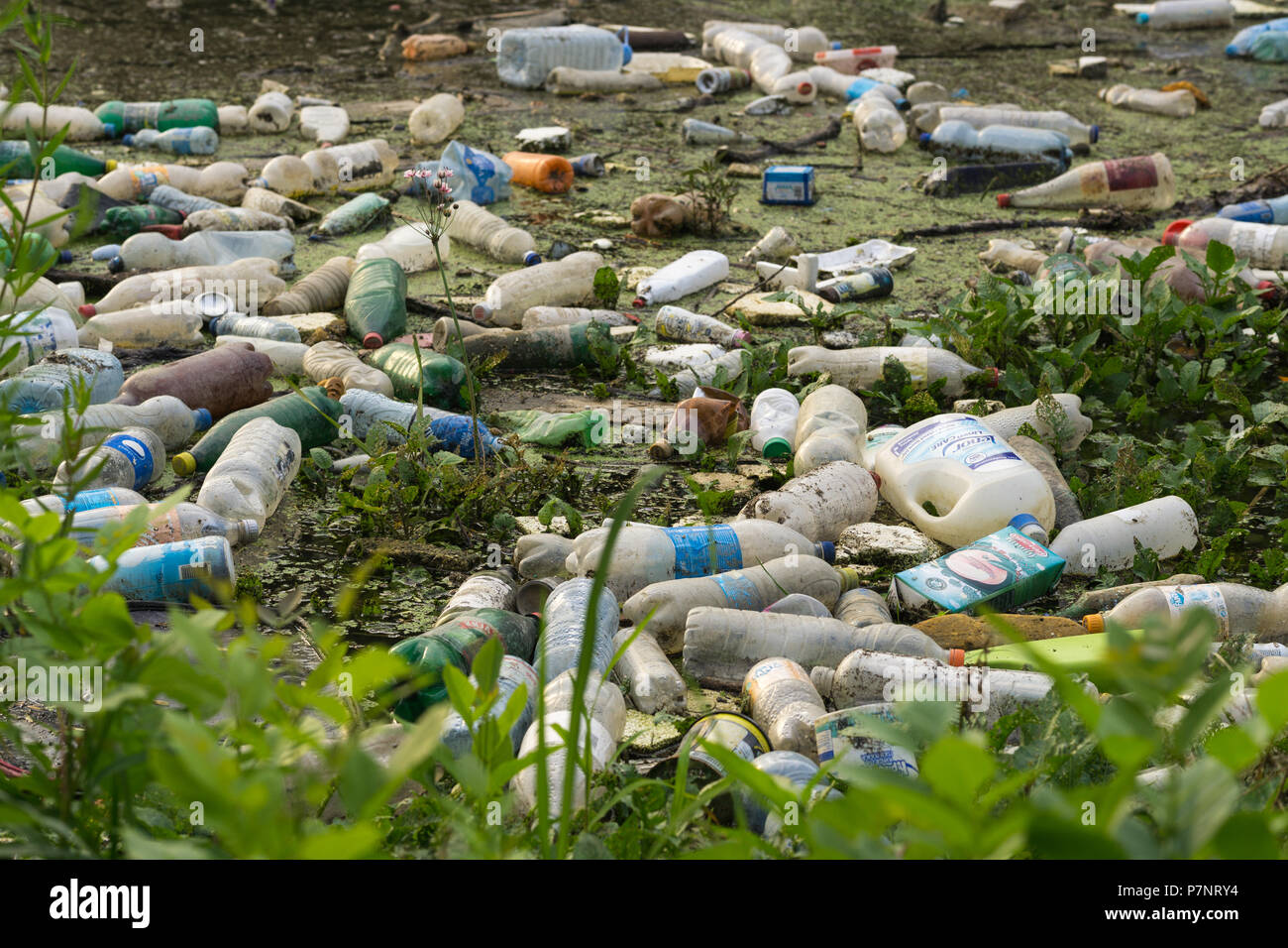 Plastic waste pollution hi-res stock photography and images - Alamy