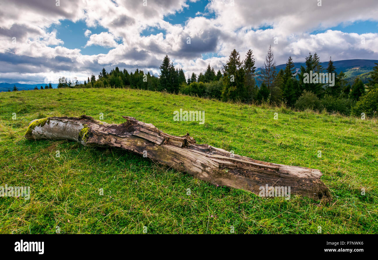 Decaying ground layer hi-res stock photography and images - Alamy
