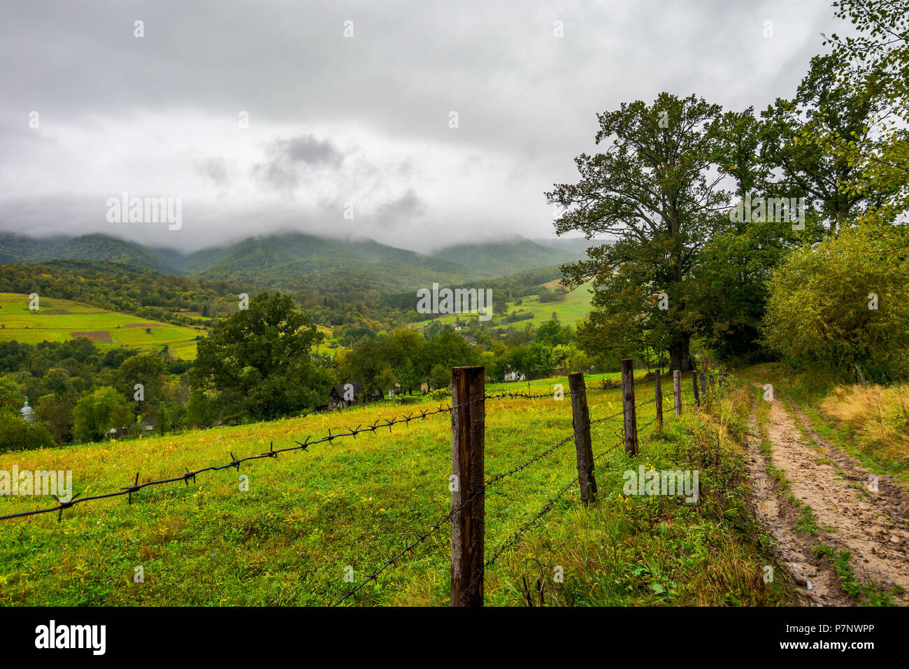 Old road fence tree hi-res stock photography and images - Alamy