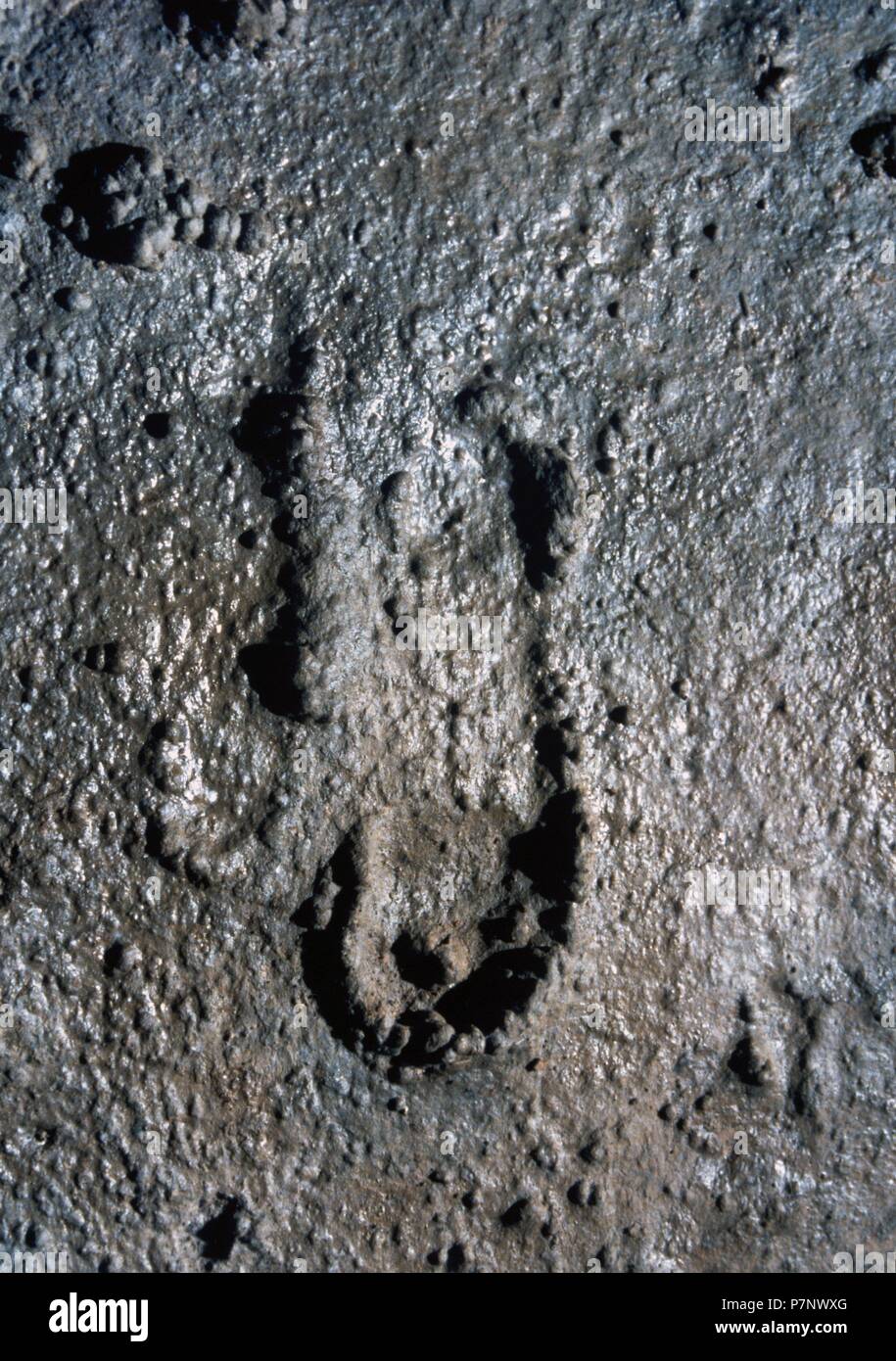 Prehistory. Paleolithic. Footprint of Cro-Magnon child, Salle des ...