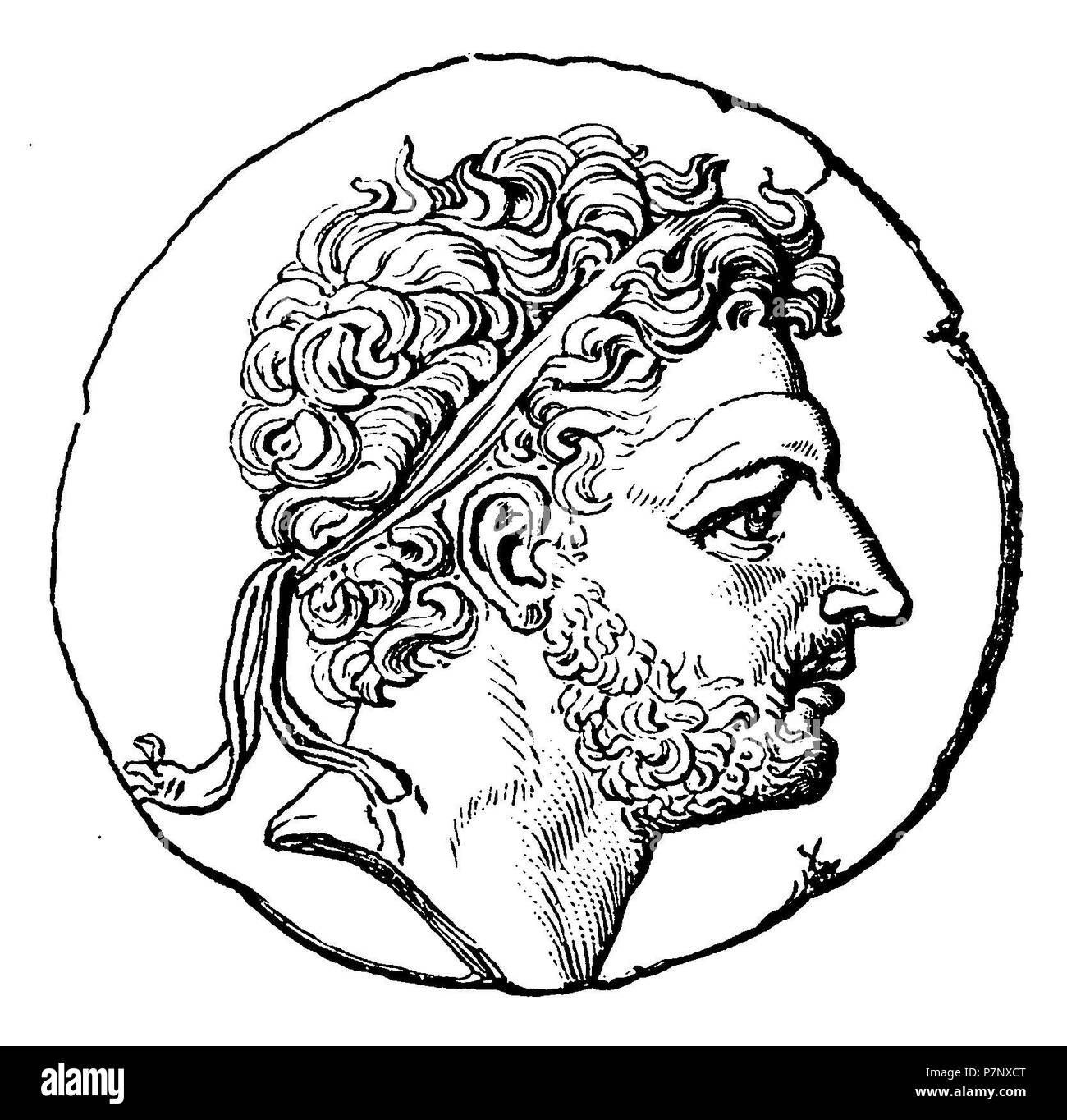 Perseus Face Drawing