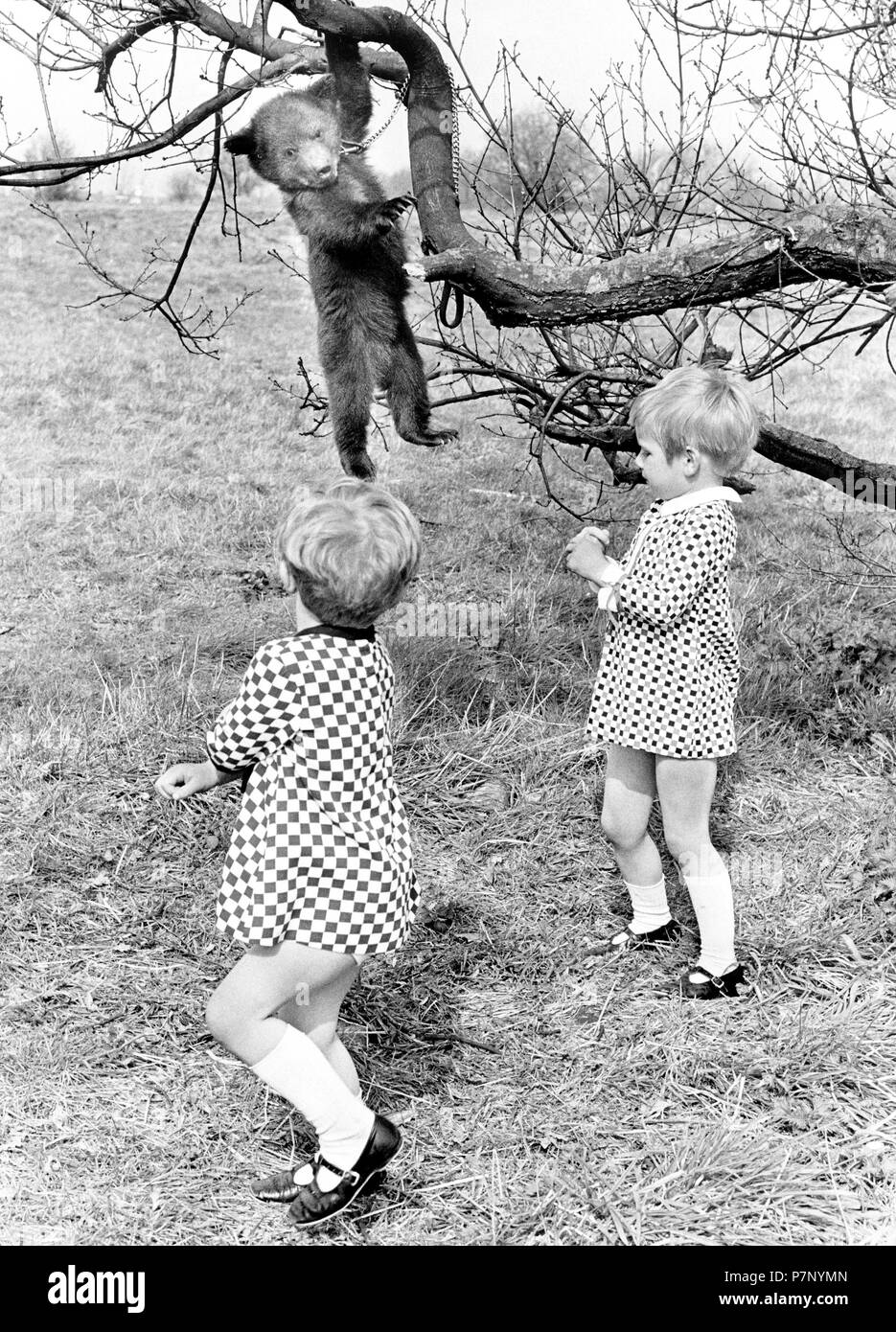 Girls hanging from tree hi-res stock photography and images - Alamy