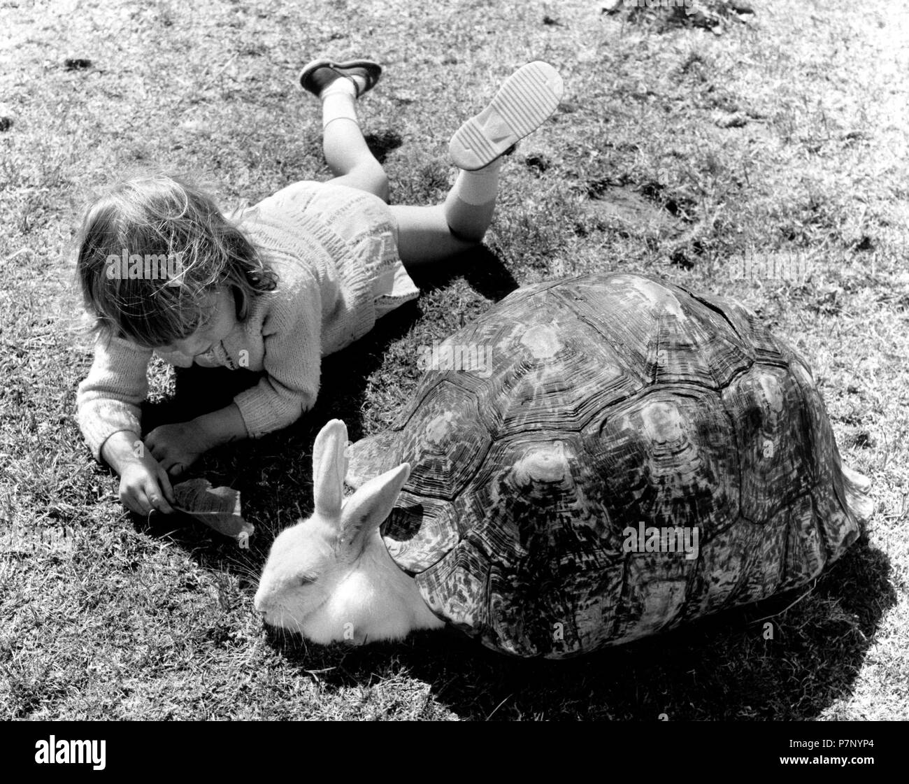 Bunny girl Black and White Stock Photos & Images - Alamy