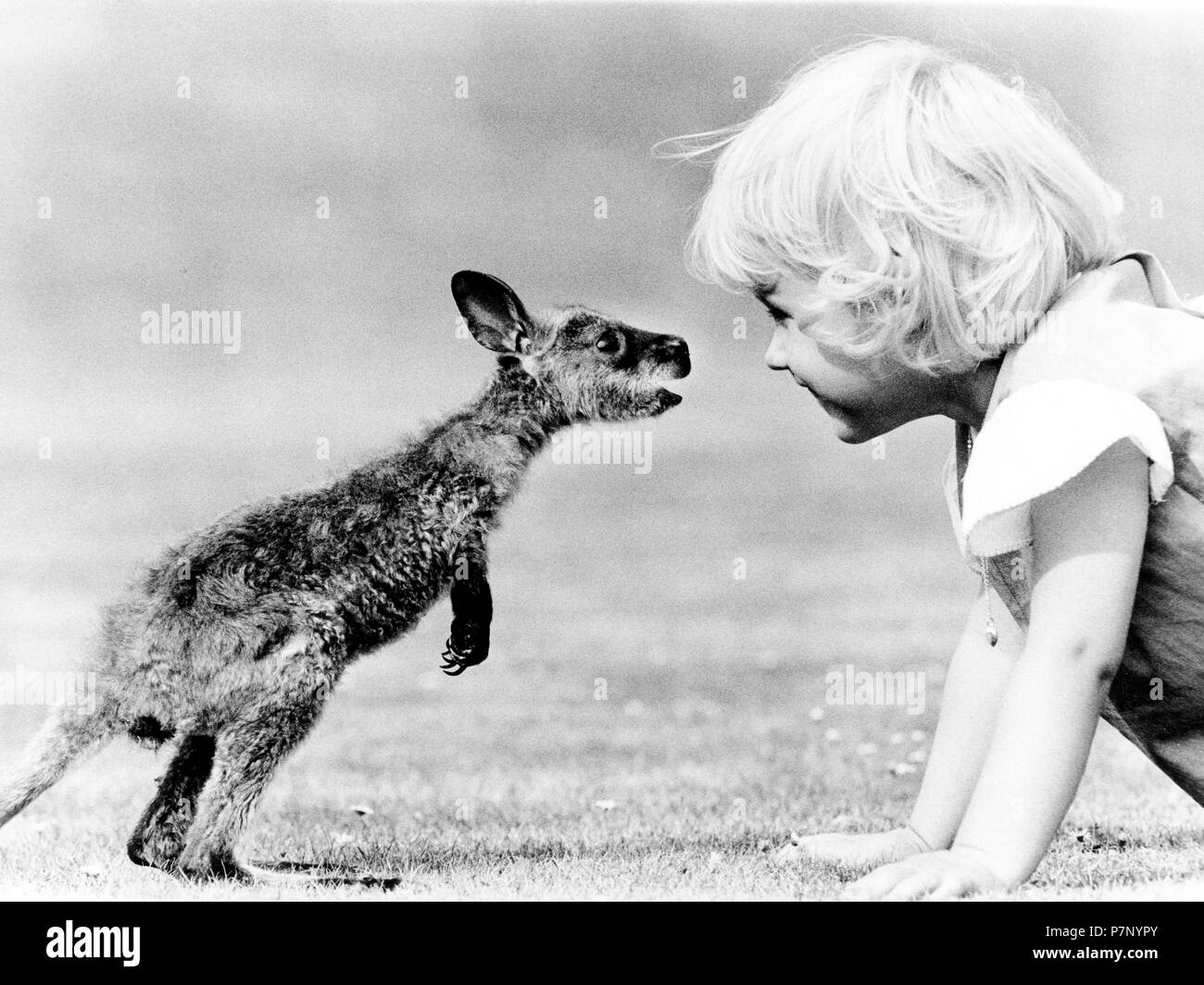 Attentive child Black and White Stock Photos & Images - Alamy