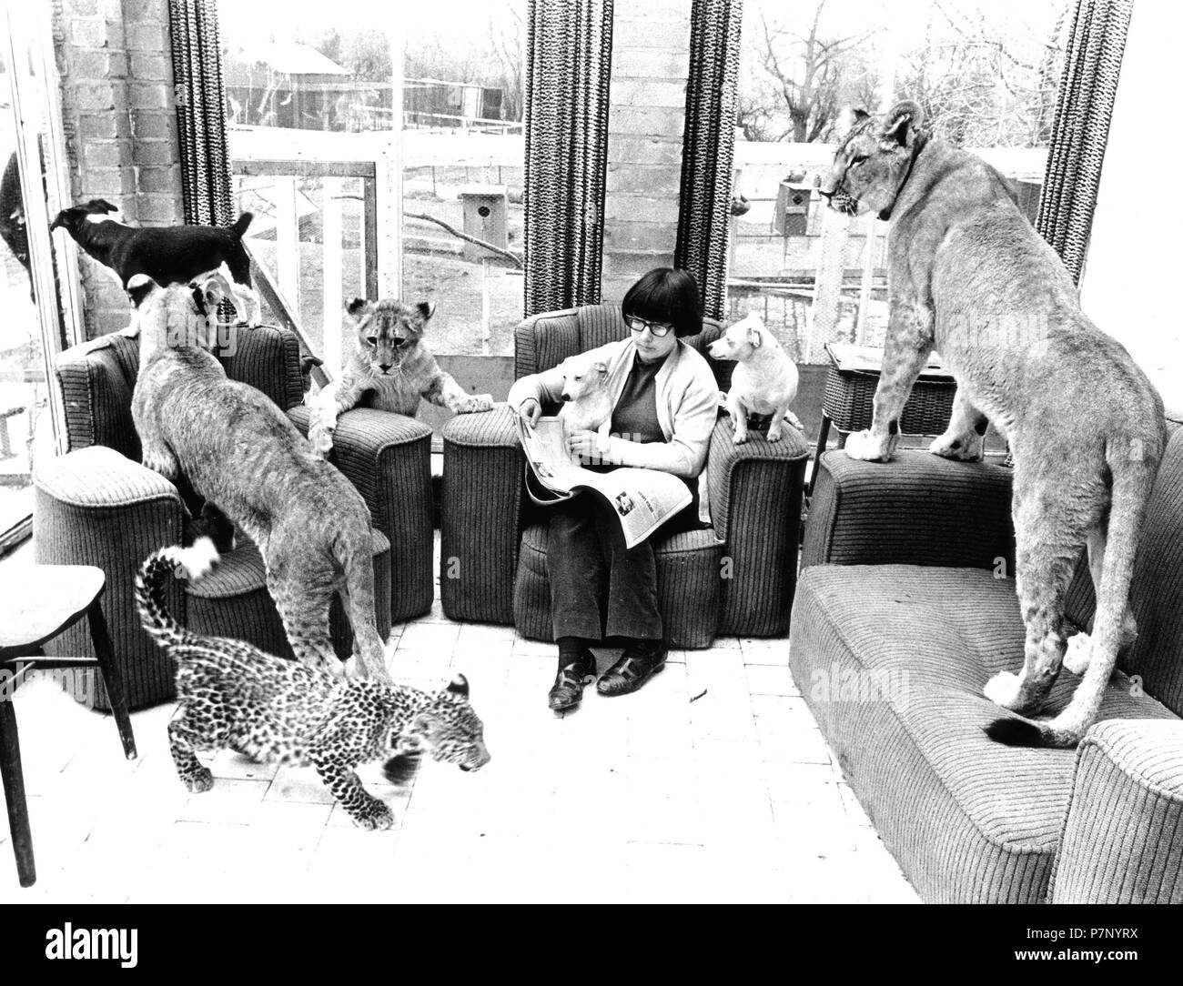 Living with predators hi-res stock photography and images - Alamy