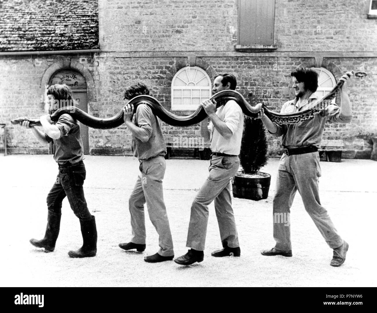 Four old men hi-res stock photography and images - Alamy