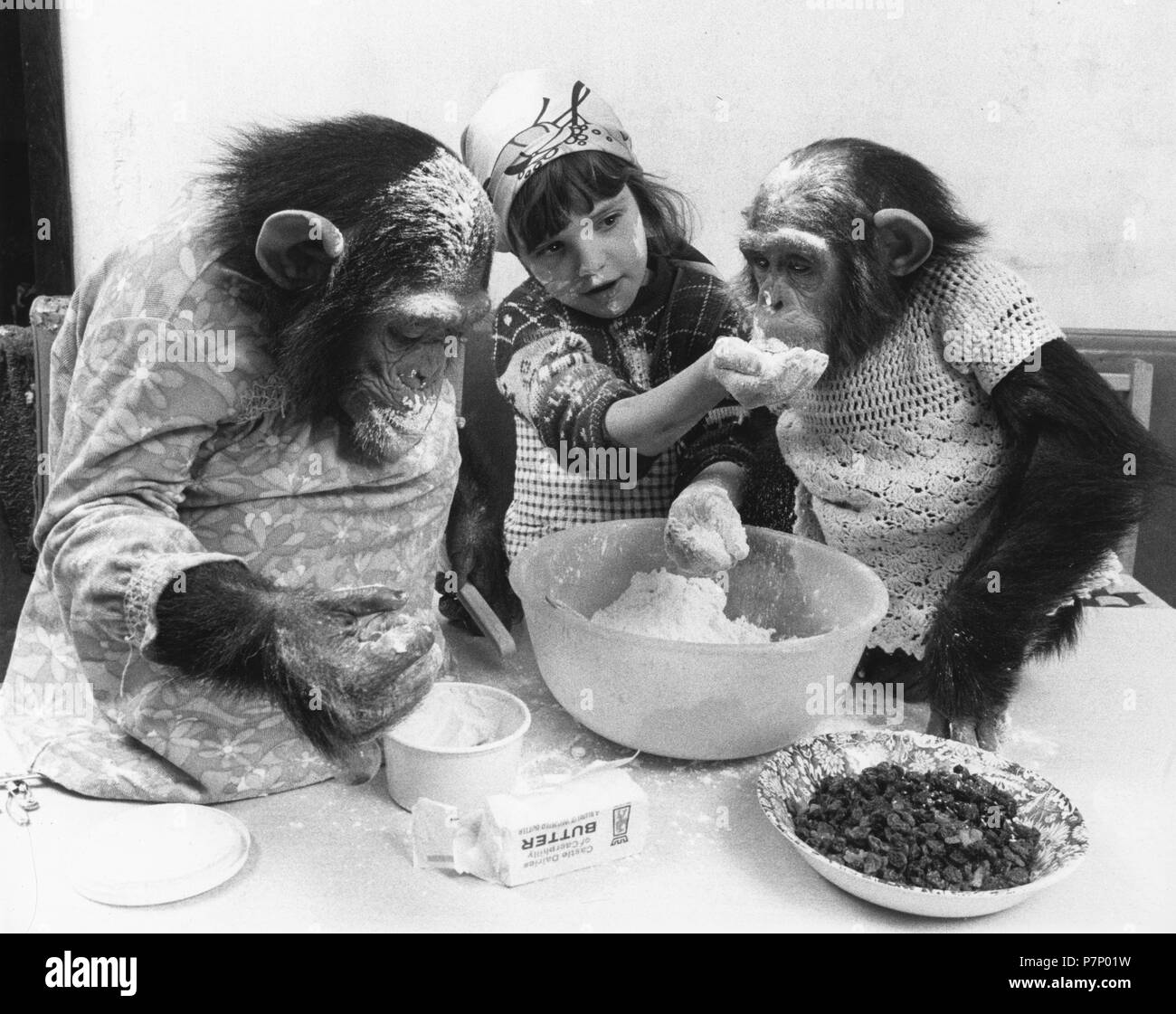 Cake humor Black and White Stock Photos & Images - Alamy