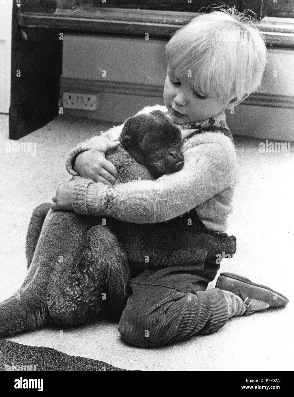 Boy hugs a monkey, England, Great Britain Stock Photo - Alamy