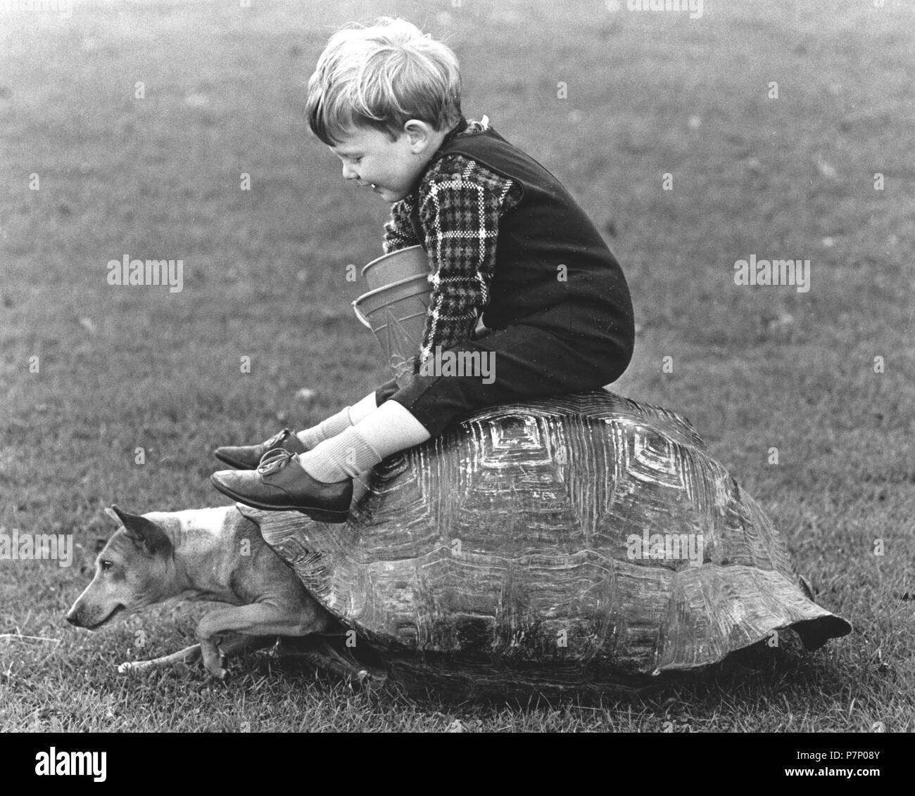 Boy Riding Turtle Black and White Stock Photos & Images - Alamy