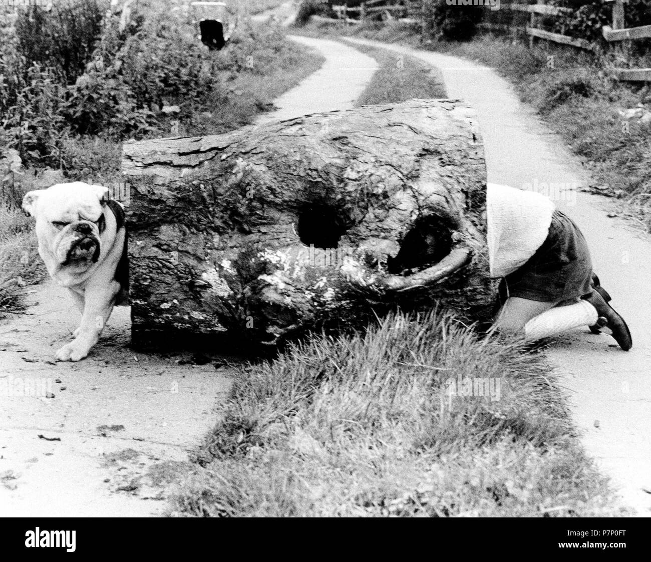 Child playing with Bulldog, England, Great Britain Stock Photo - Alamy