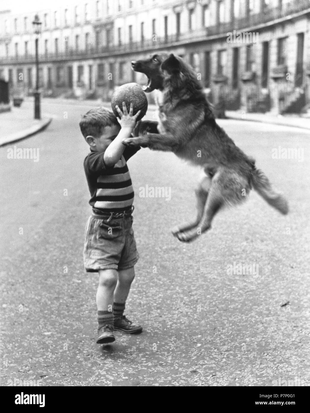 Vintage boy with dog hi-res stock photography and images - Alamy