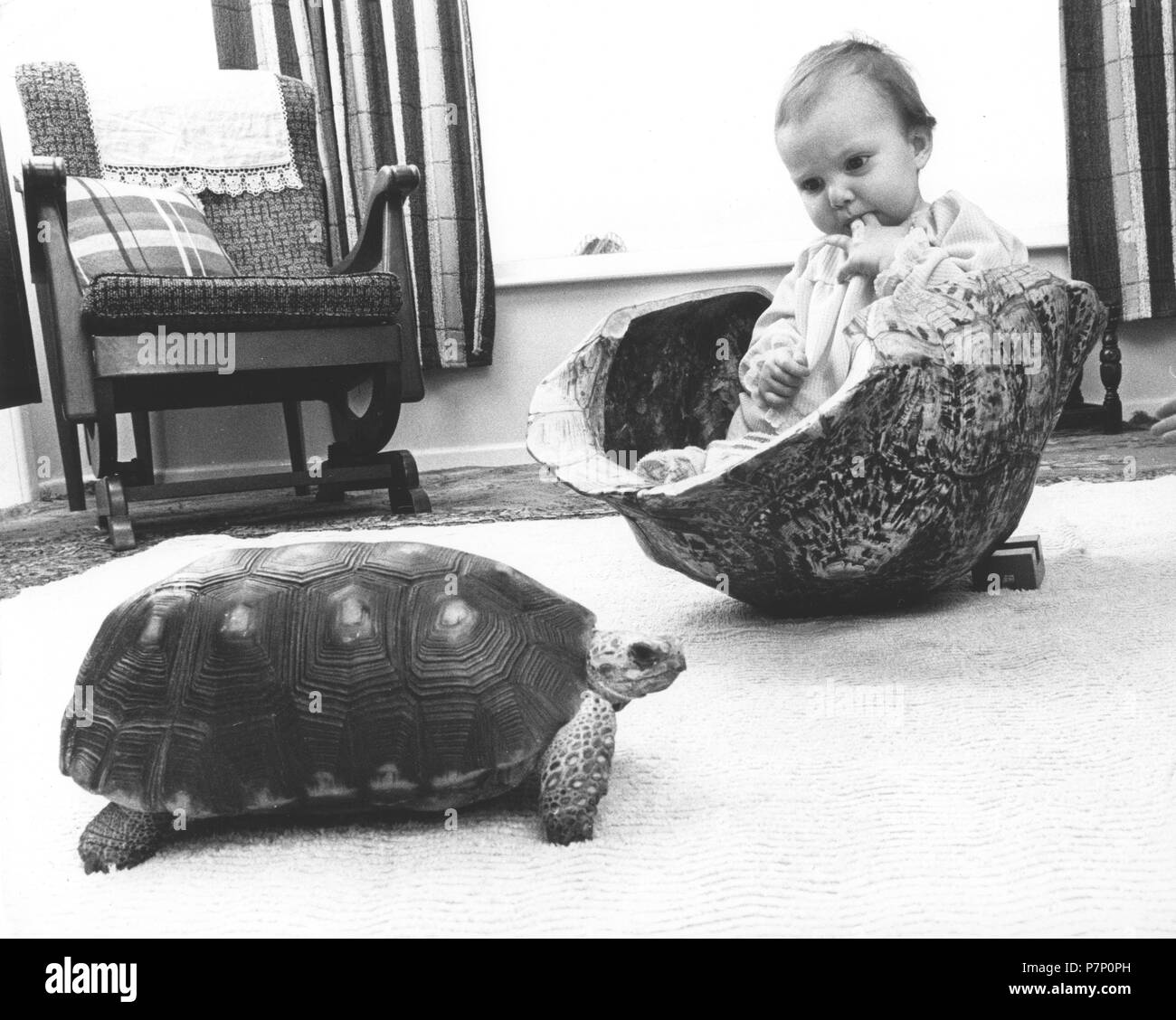 Toddler with turtle hi-res stock photography and images - Alamy