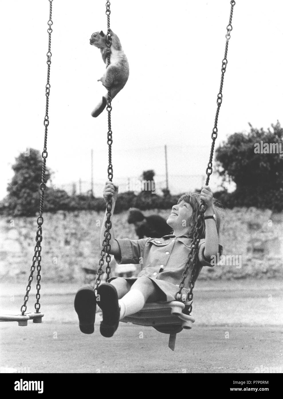 Monkey and child on a swing, England, Great Britain Stock Photo - Alamy