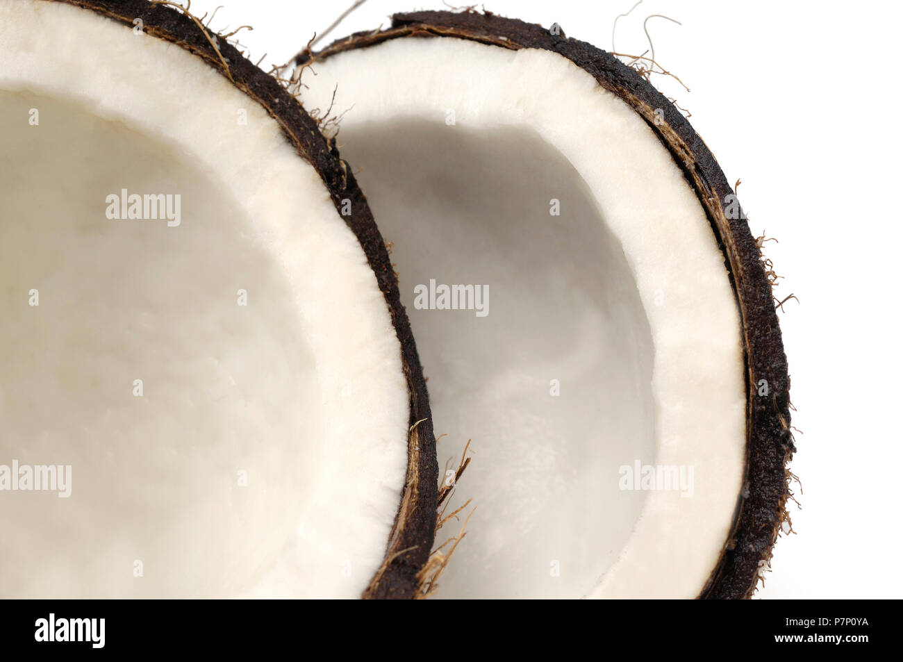 coconut on white background Stock Photo - Alamy