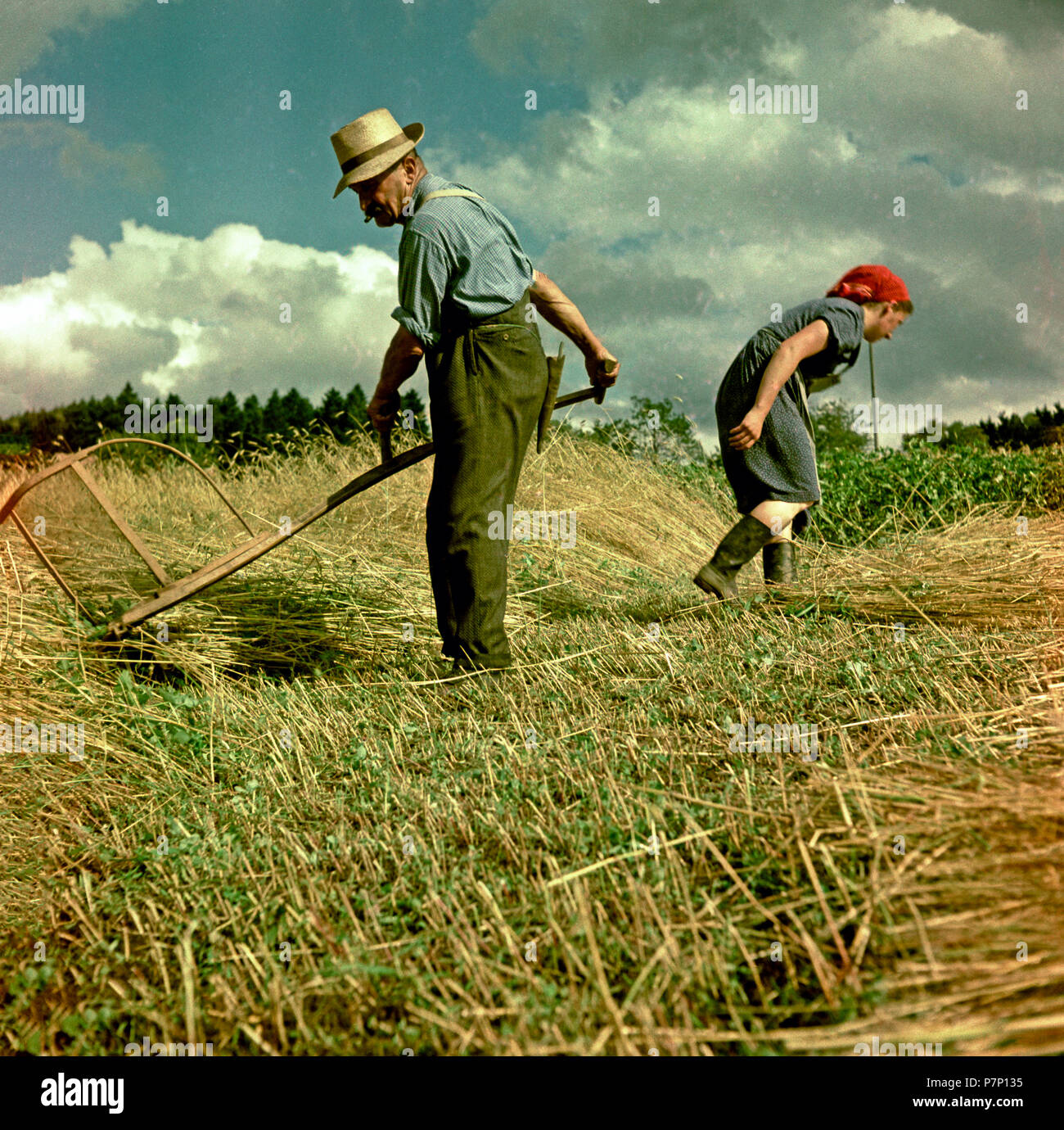 Man and scythe hi-res stock photography and images - Alamy