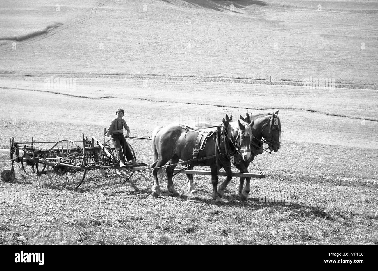 Child labour germany hi-res stock photography and images - Alamy