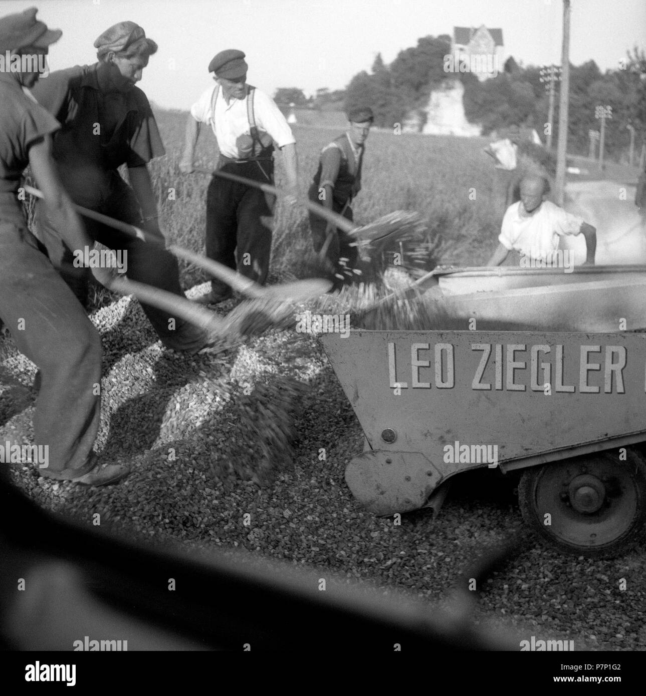 Workers shovel pebbles into a wagon, road construction around 1950 ...