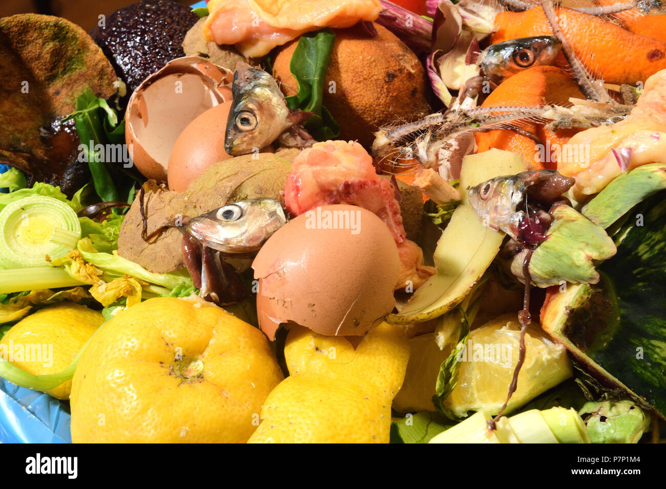 compost on white bacground Stock Photo - Alamy