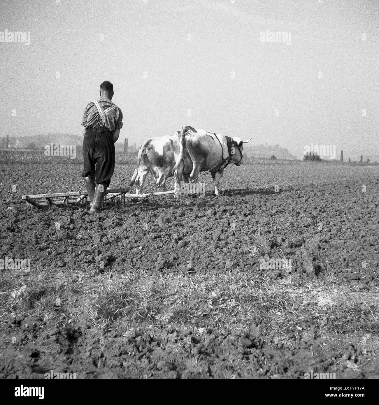Germany baden württemberg near Black and White Stock Photos & Images ...