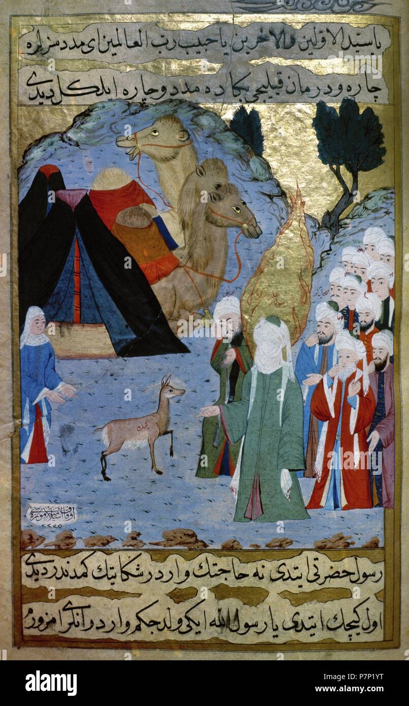 Muhammad hears the crying of a fawn. Life of the Prophet. Ottoman ...