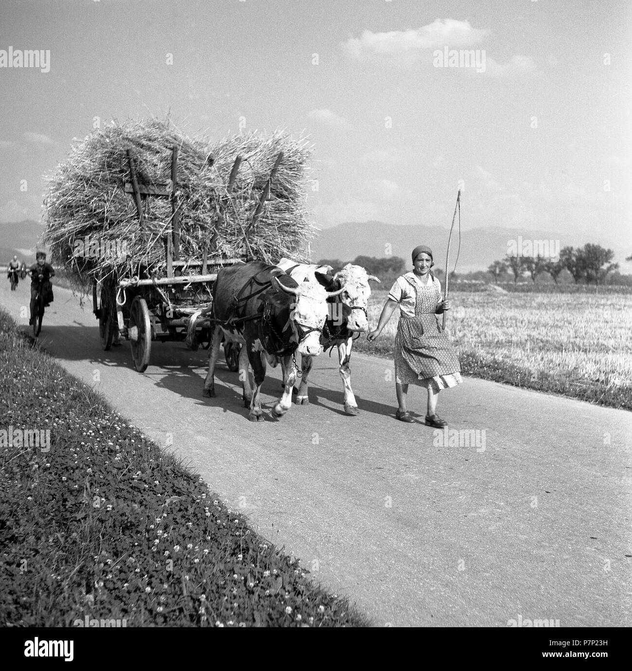 Hay cart hi-res stock photography and images - Alamy