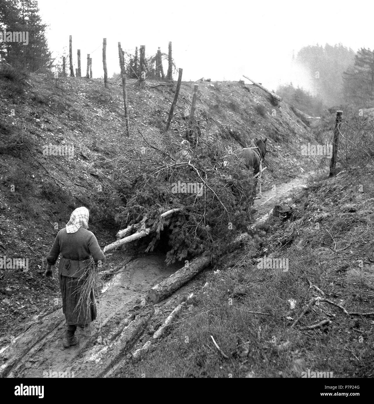 Germany 1945 woman hi-res stock photography and images - Alamy