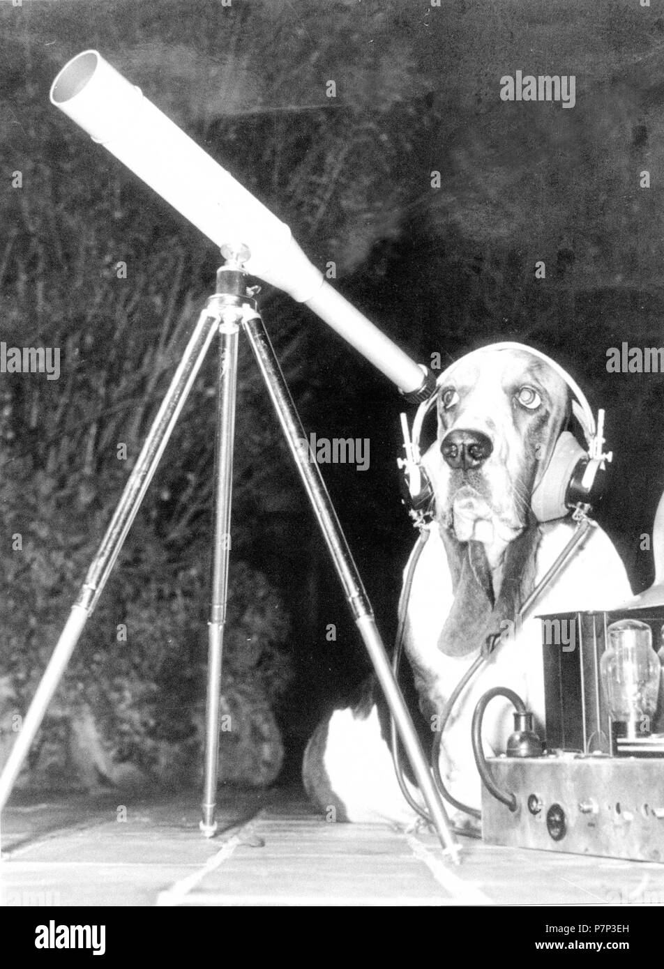 Dog telescope Black and White Stock Photos & Images - Alamy