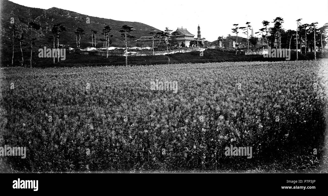 Chuan yu hi-res stock photography and images - Alamy