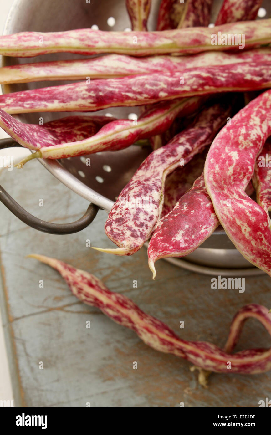 Raw berlotti beans hi-res stock photography and images - Alamy