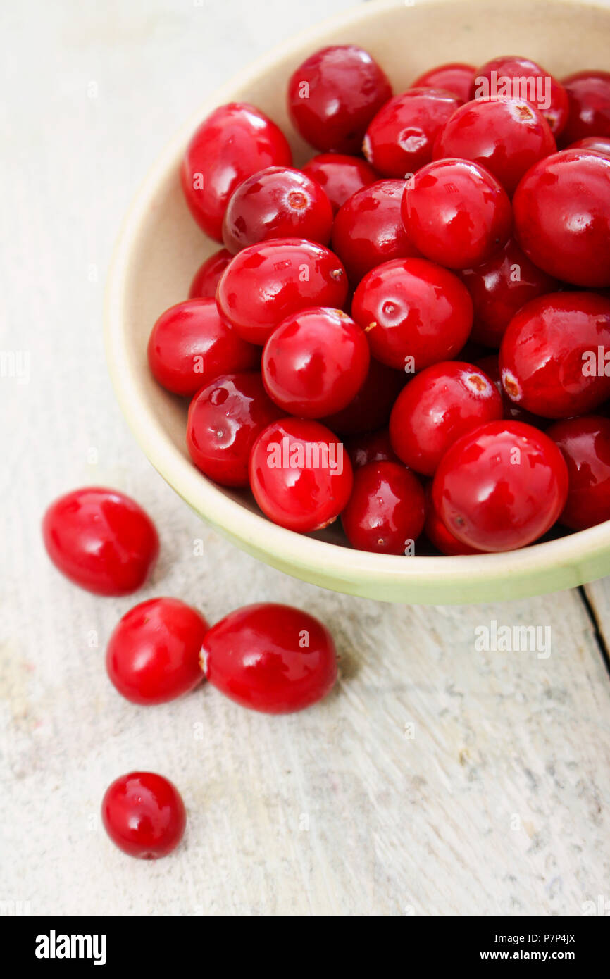 Washed cranberries hi-res stock photography and images - Alamy