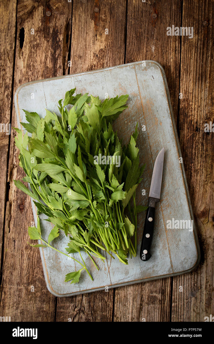fresh flat leaf parsley bunch Stock Photo - Alamy