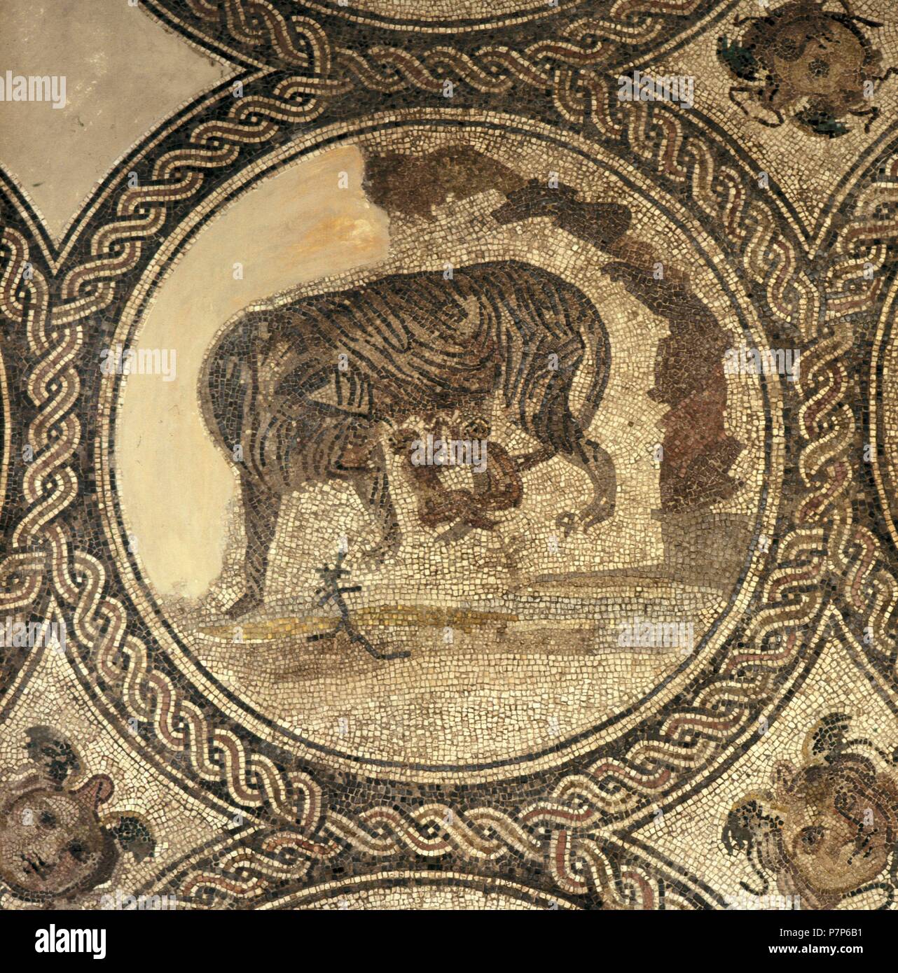 FRAGMENTO DE MOSAICO CON LOBA CAPITOLINA AMAMANTANDO A ROMULO Y REMO ...
