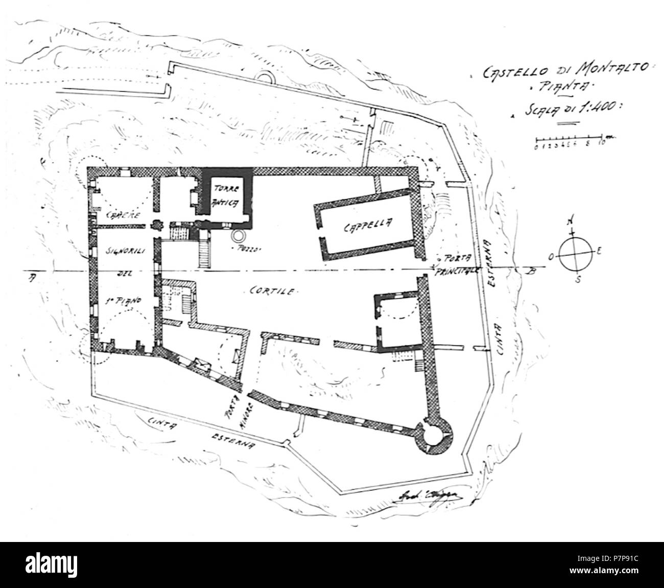 Pianta di design Black and White Stock Photos & Images - Alamy