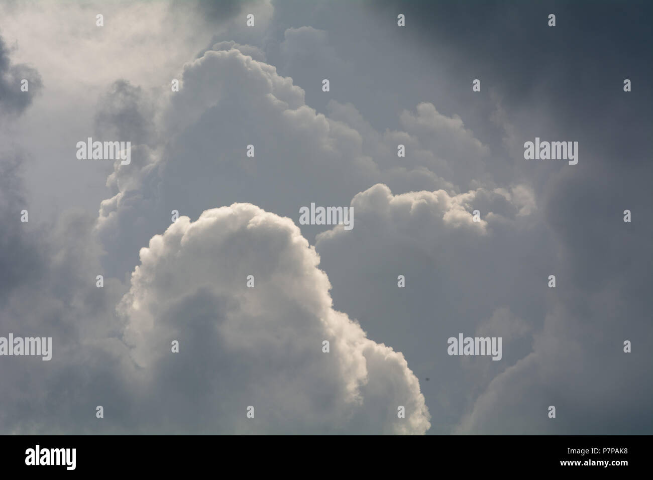 Cumulus growing up in Germany Stock Photo - Alamy