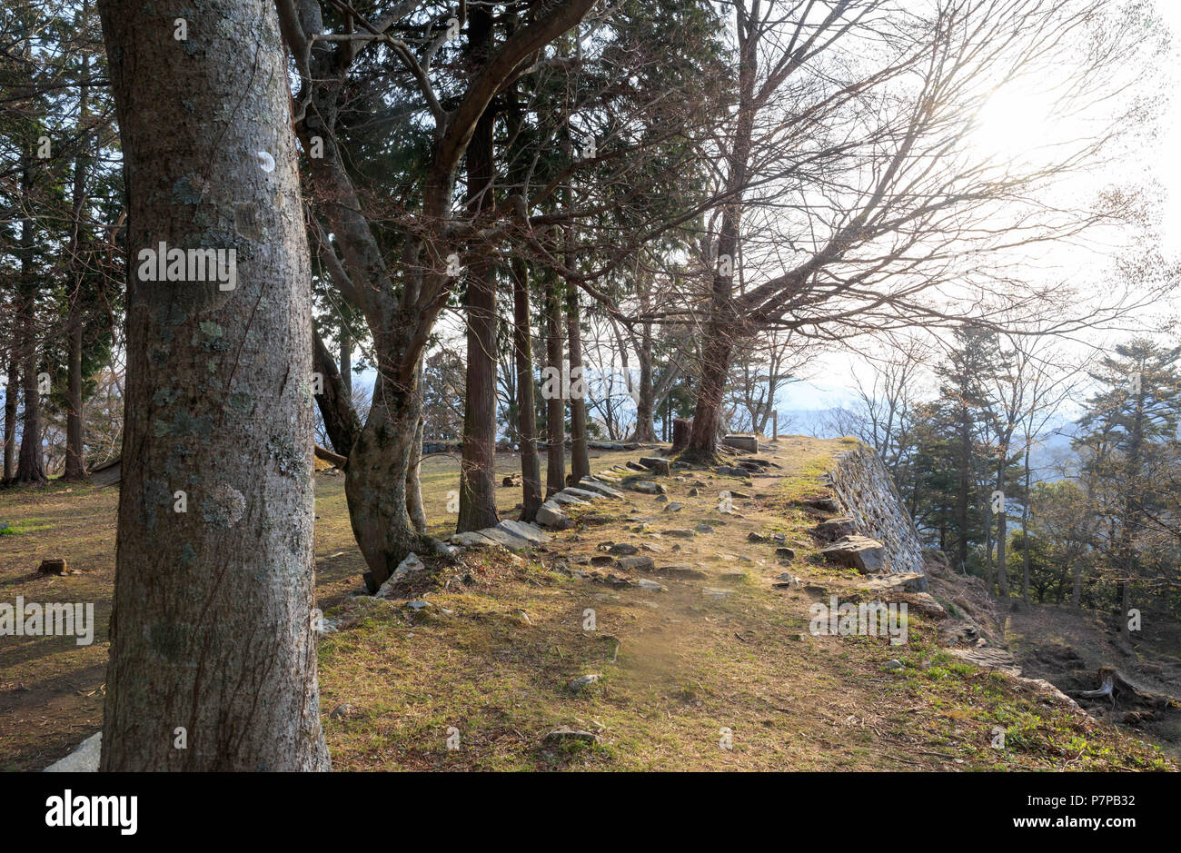 Old japanese castle hi-res stock photography and images - Alamy