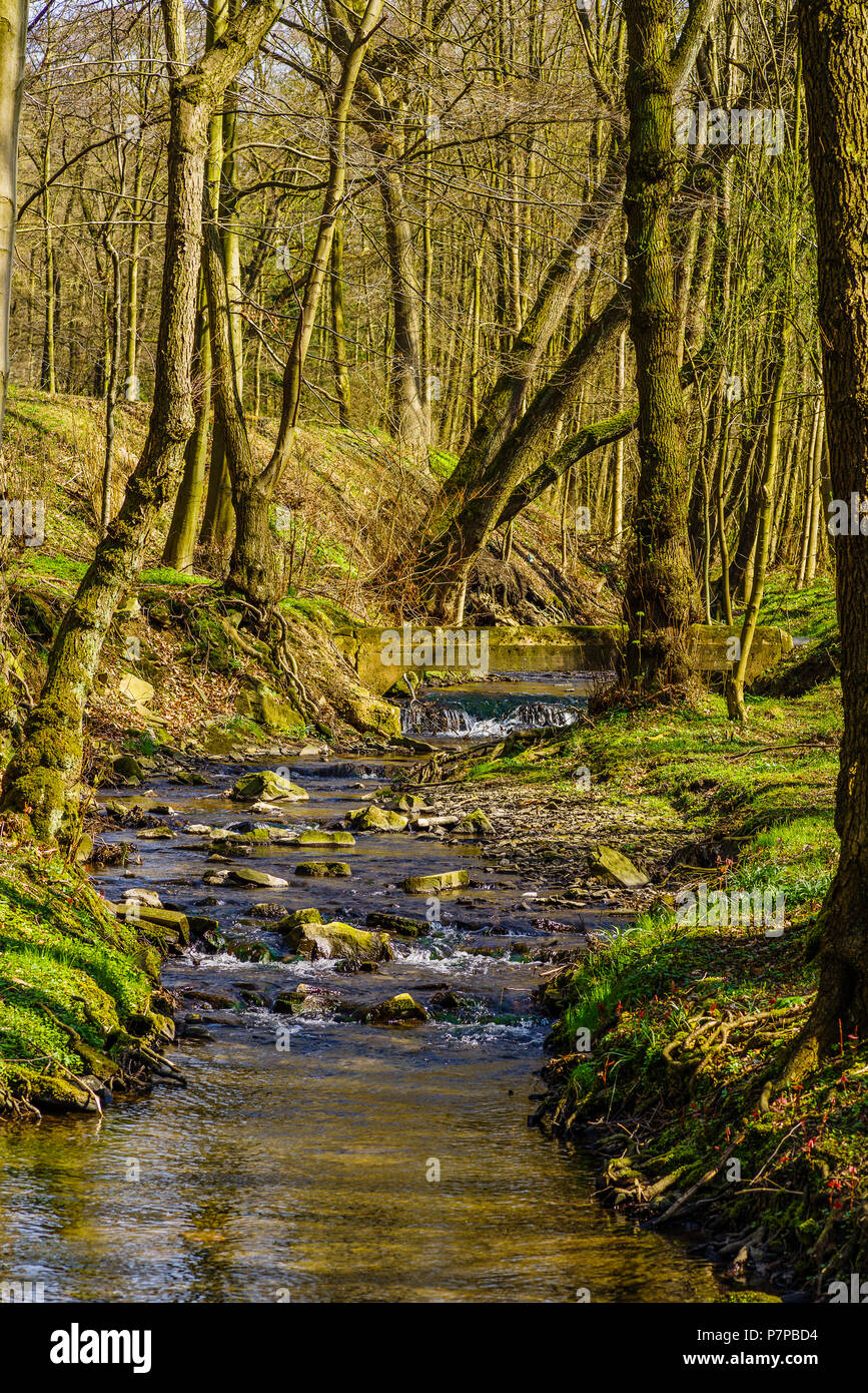 Hesper hi-res stock photography and images - Alamy