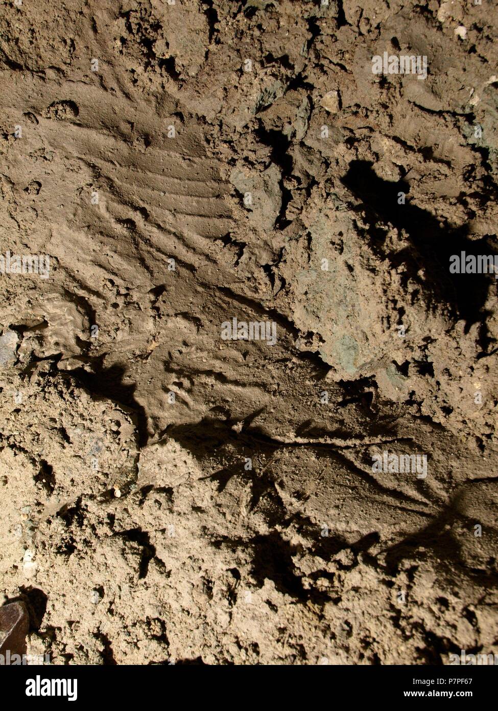 CUEVA DE PEDRO FERNANDEZ. ESTREMERA, COMUNINDAD DE MADRID, ESPAÑA Stock ...