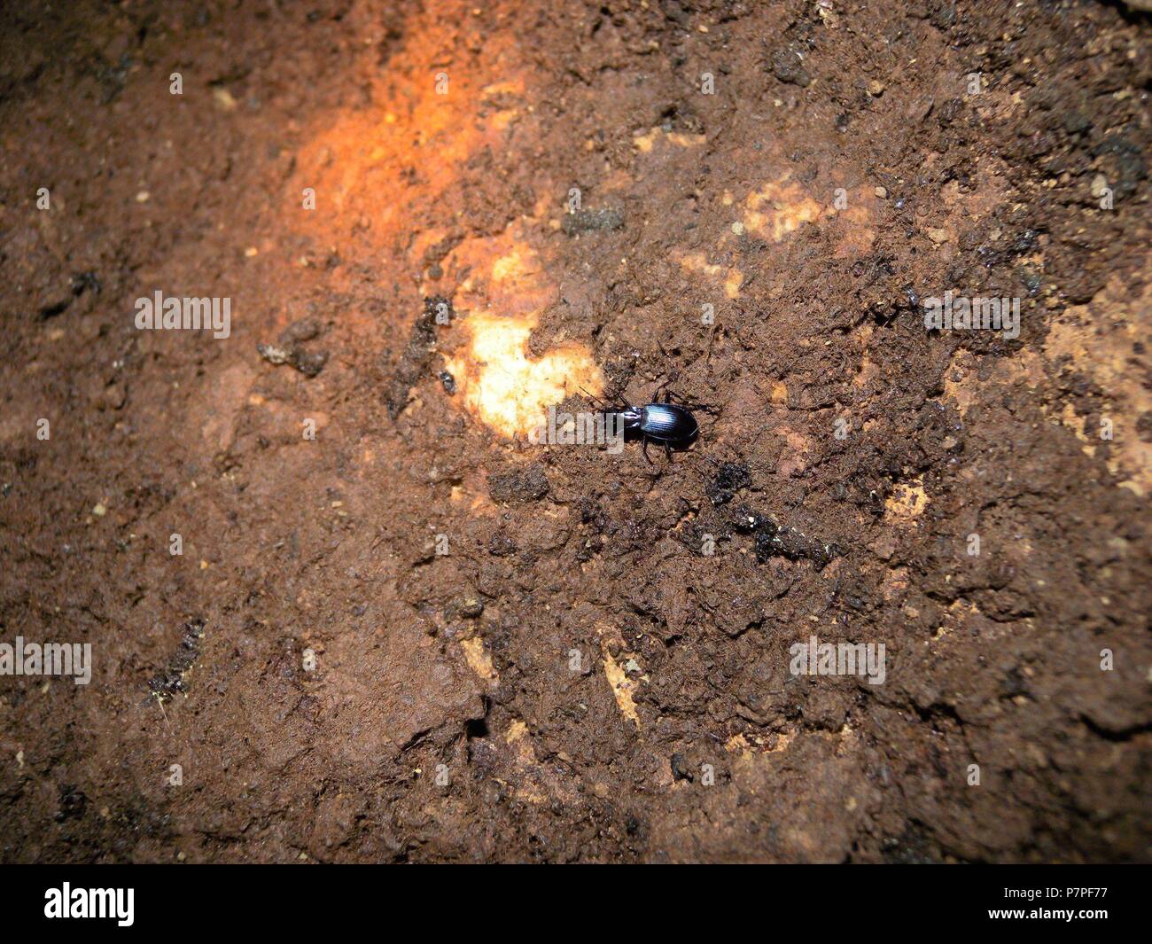 Estremera hi-res stock photography and images - Alamy