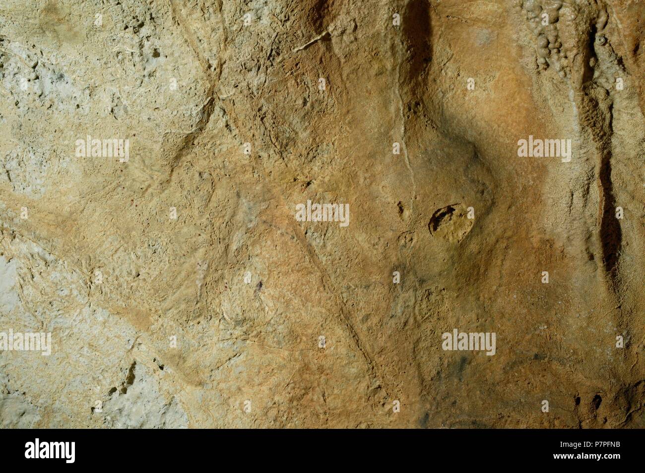 CAVE OF SANTIMAMIÑE. PAINTINGS. SET OF ANIMALS CONTOURED IN BLACK ...