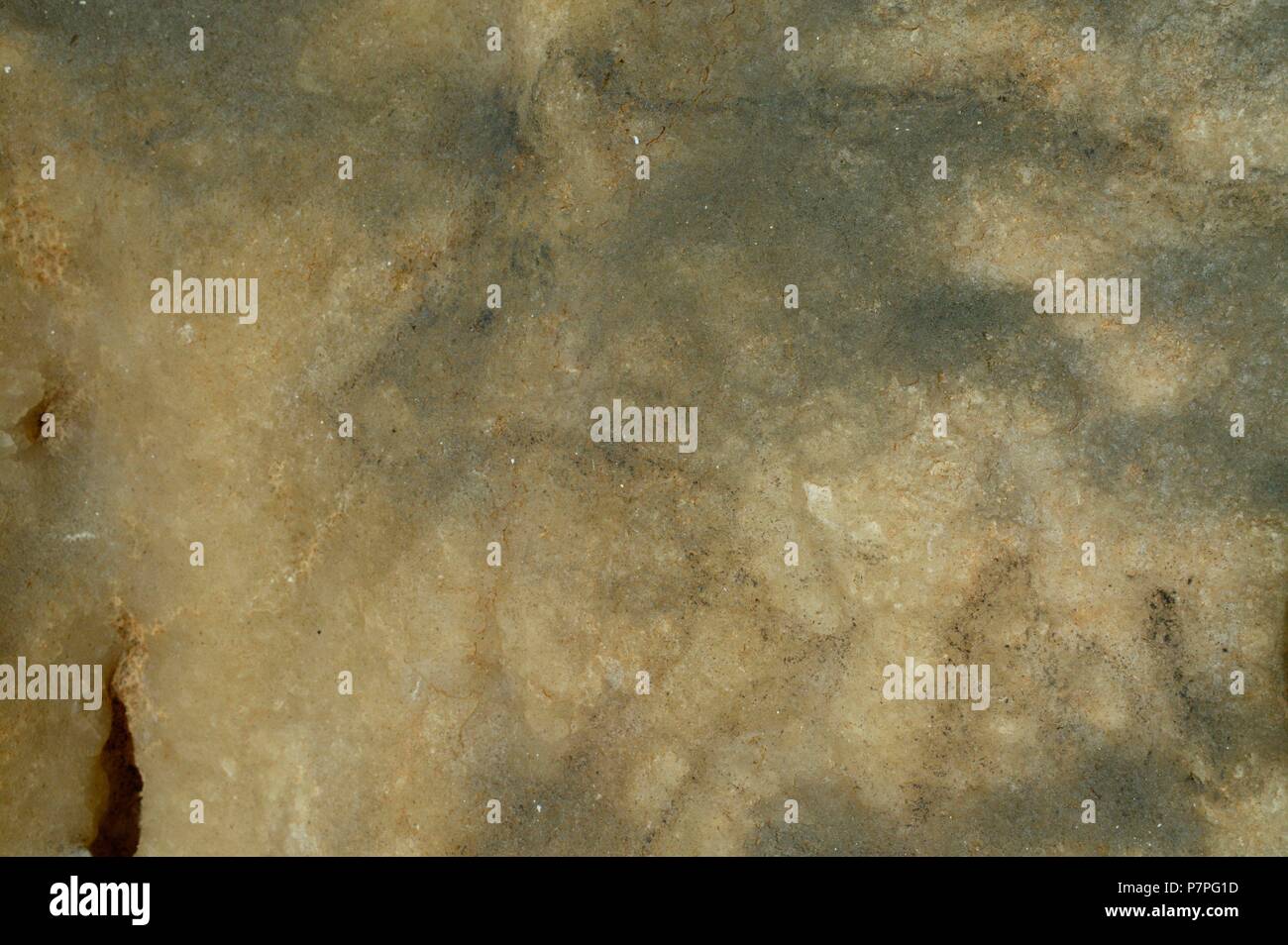 CAVE OF SANTIMAMIÑE. PAINTINGS. SET OF ANIMALS CONTOURED IN BLACK ...