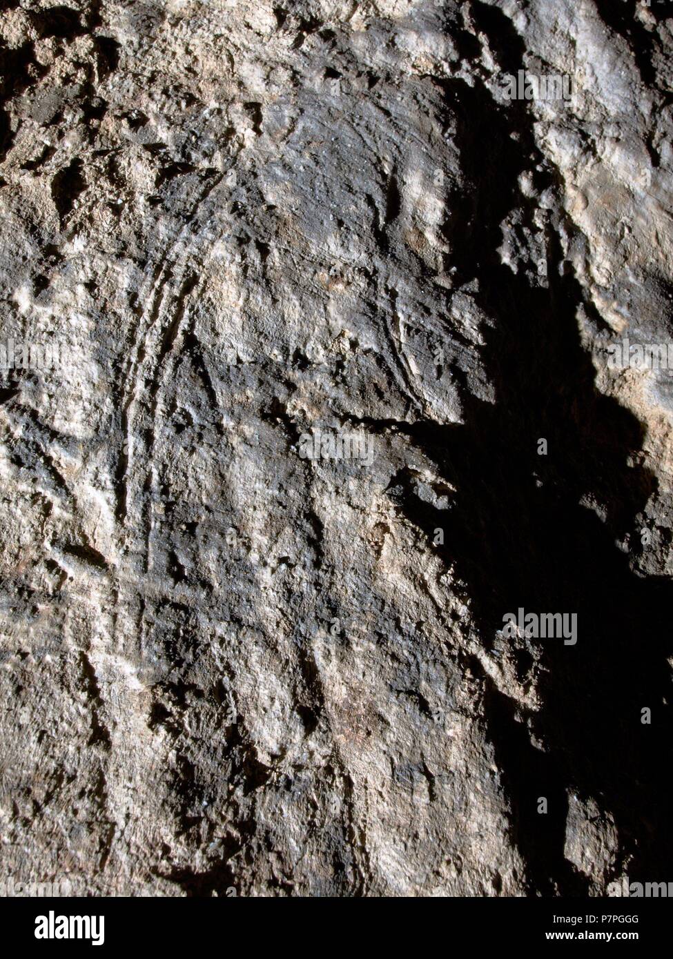 CUEVA DE PEDRO FERNANDEZ: DETALLE PANEL 1, GRABADOS DE LINEAS LARALELAS ...