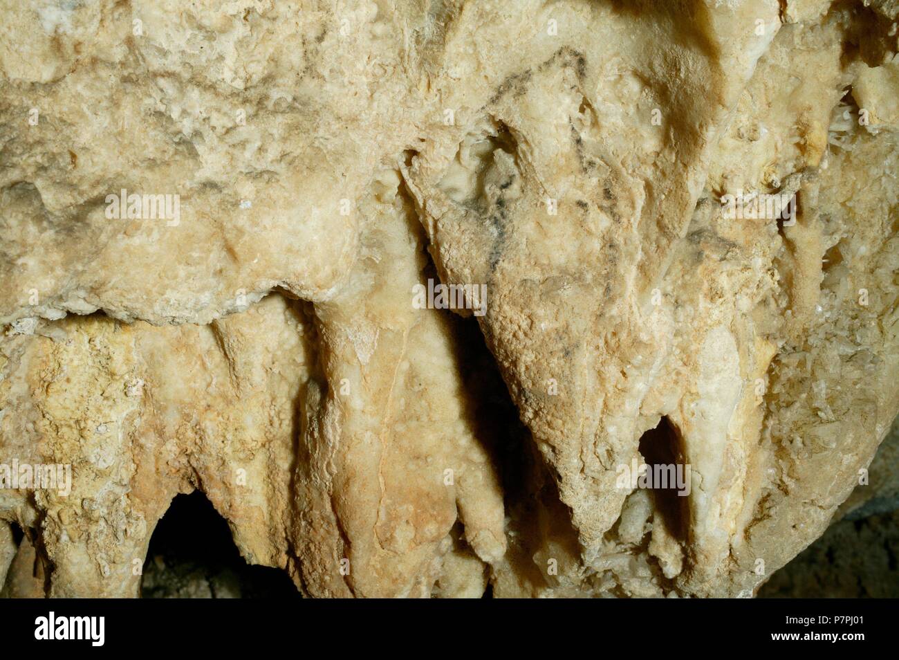 CAVE OF SANTIMAMIÑE. PAINTINGS SET OF ANIMALS CONTOURED IN BLACK.CIERVO ...
