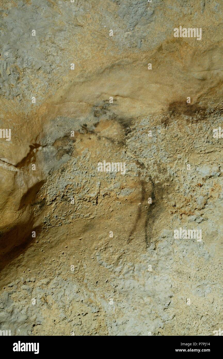 CAVE OF SANTIMAMIÑE. PAINTINGS. SET OF ANIMALS CONTOURED IN BLACK ...