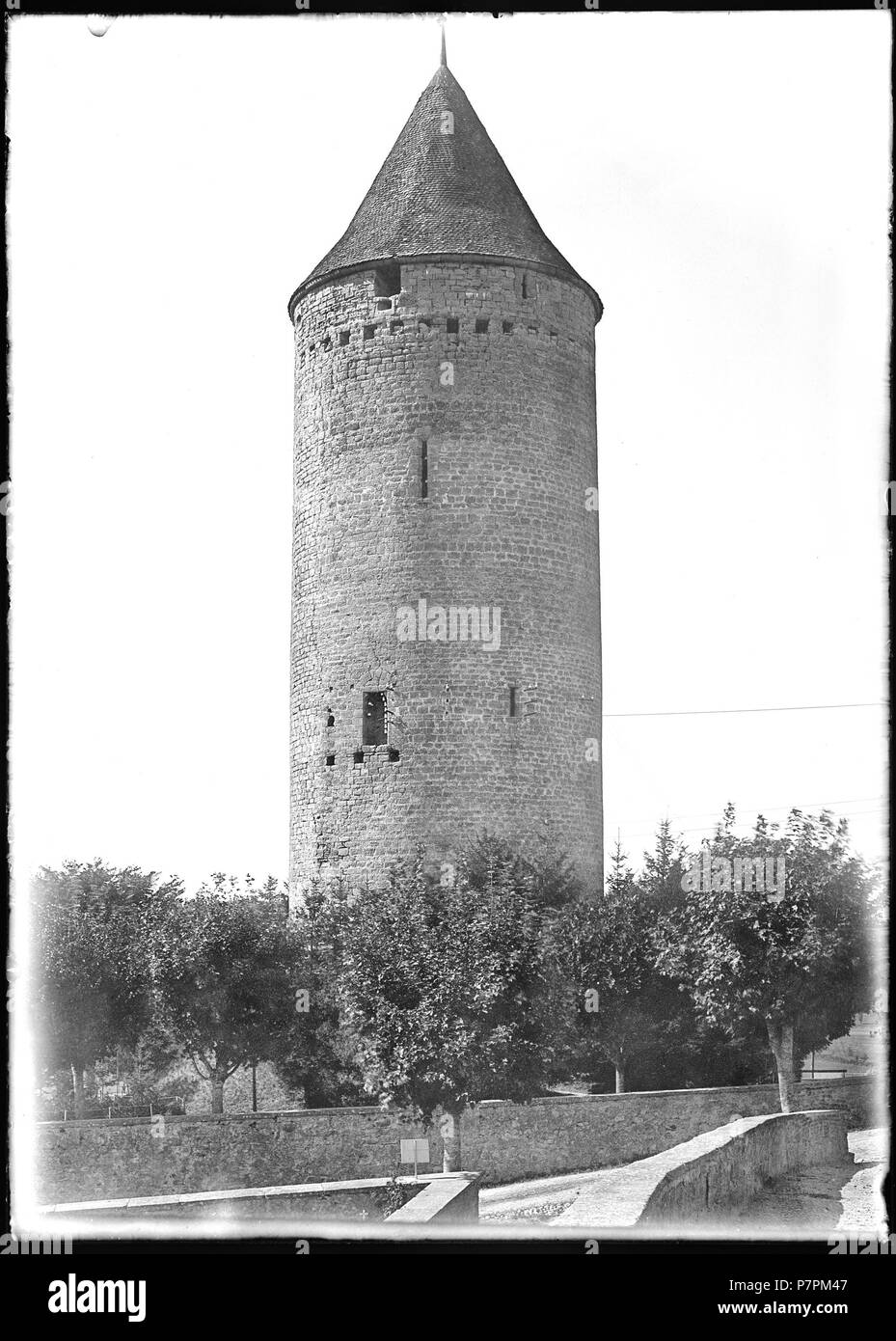 Arbres des arbres Black and White Stock Photos & Images - Alamy
