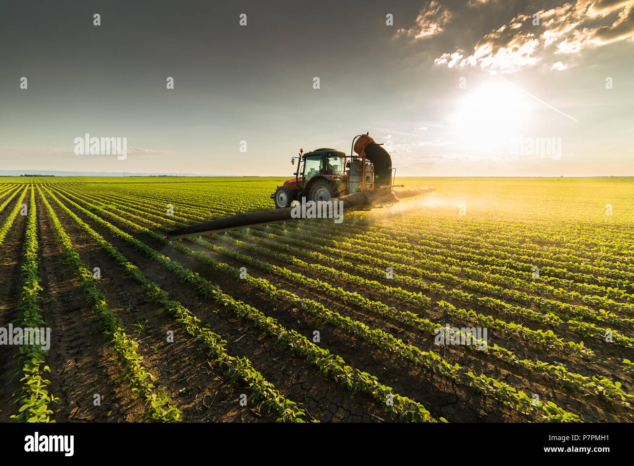 Tractor spraying pesticides on soybean field with sprayer at spring ...