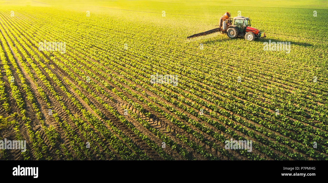 Tractor spraying pesticides on soybean field with sprayer at spring ...