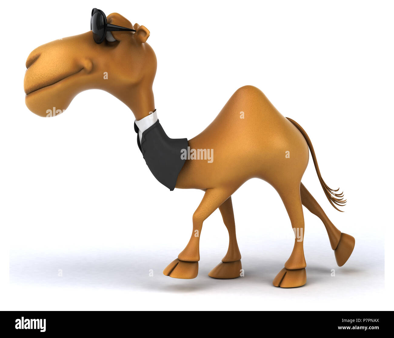 Camel active Cut Out Stock Images & Pictures - Alamy
